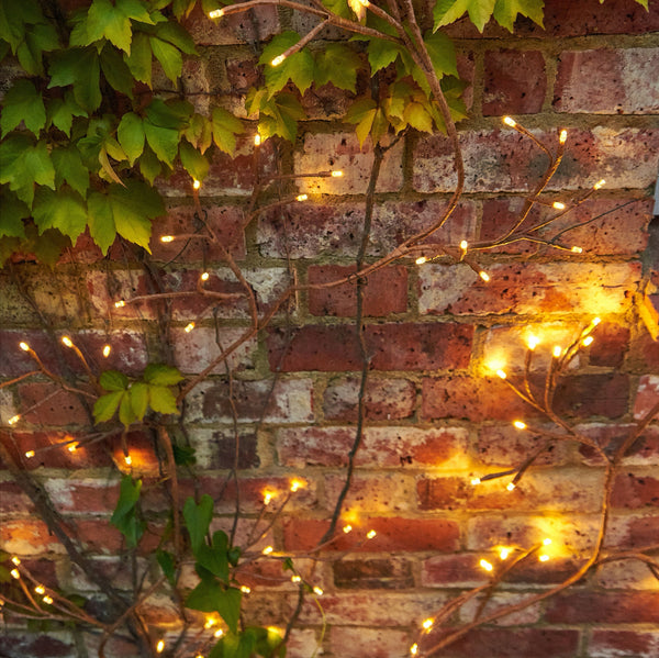 Solar Ivy – Fairydusk